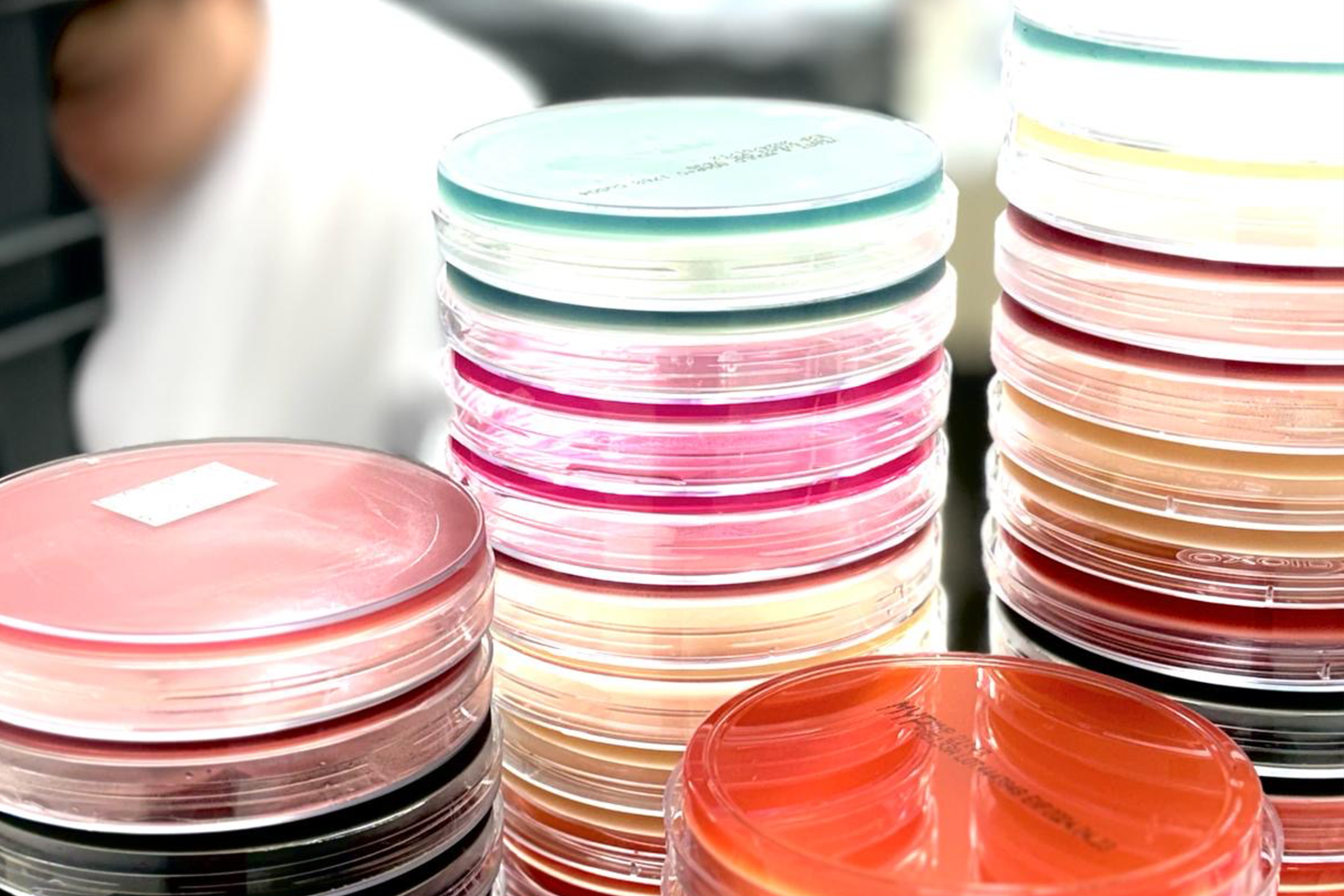 Comprehensive Testing Services for Food, Feed, Water, Cosmetics ...