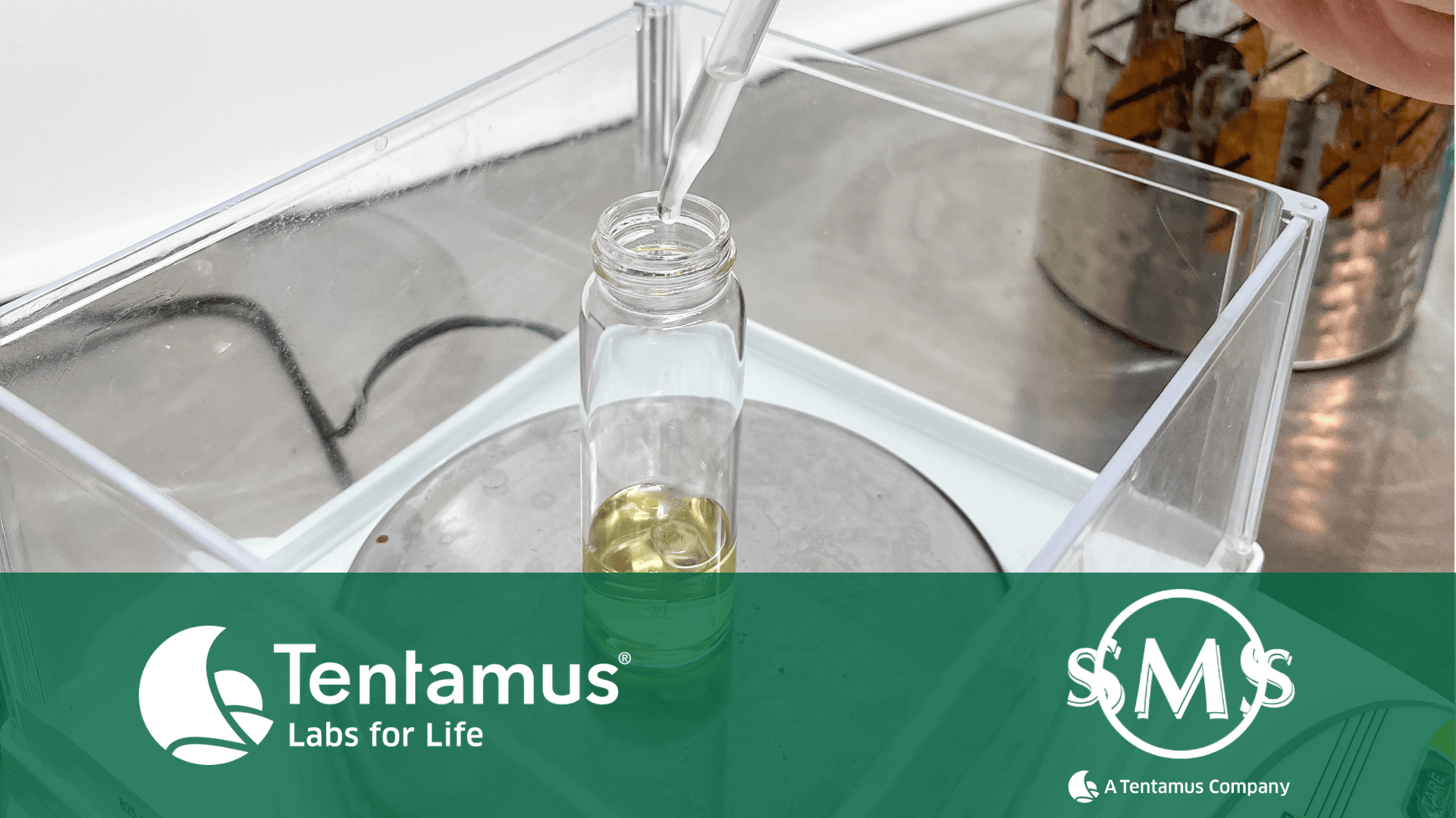 Eco-Friendly Preservative Systems: The Science Behind Microbiological ...
